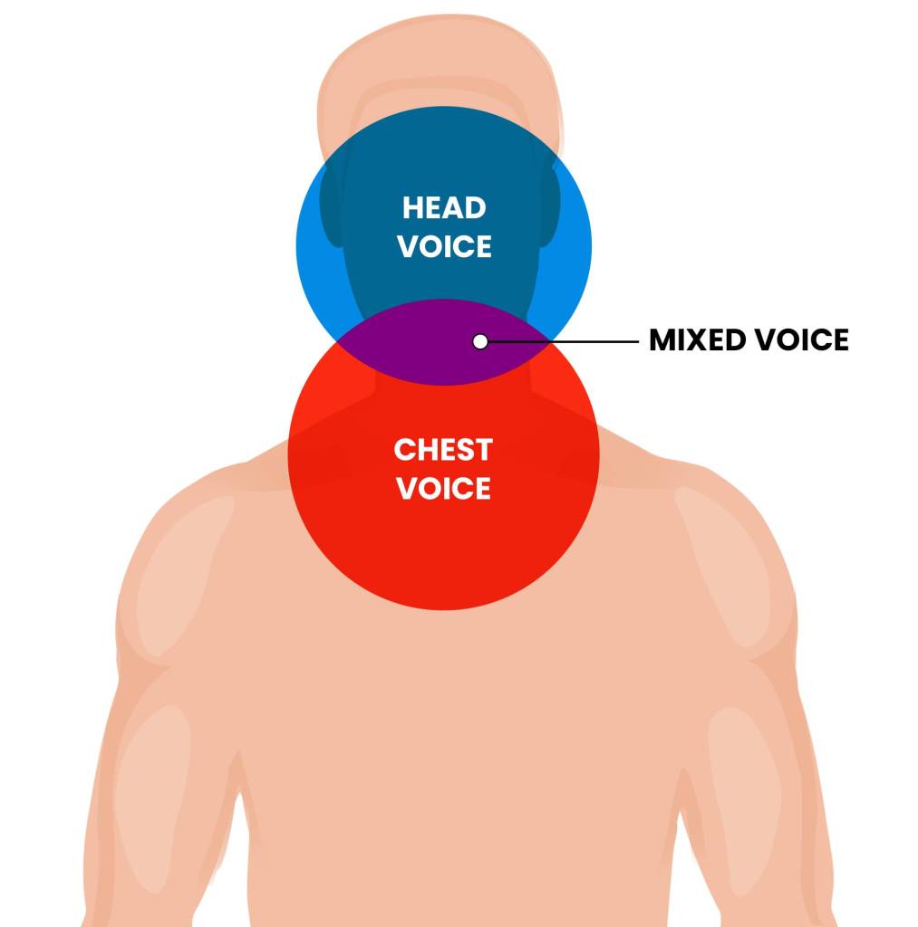 The 8 Singing Voice Types: Find Out Yours Here!