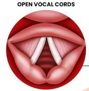 How to Sing Low Notes: 5 Exercises to Sing REALLY Low | Ramsey Voice Studio