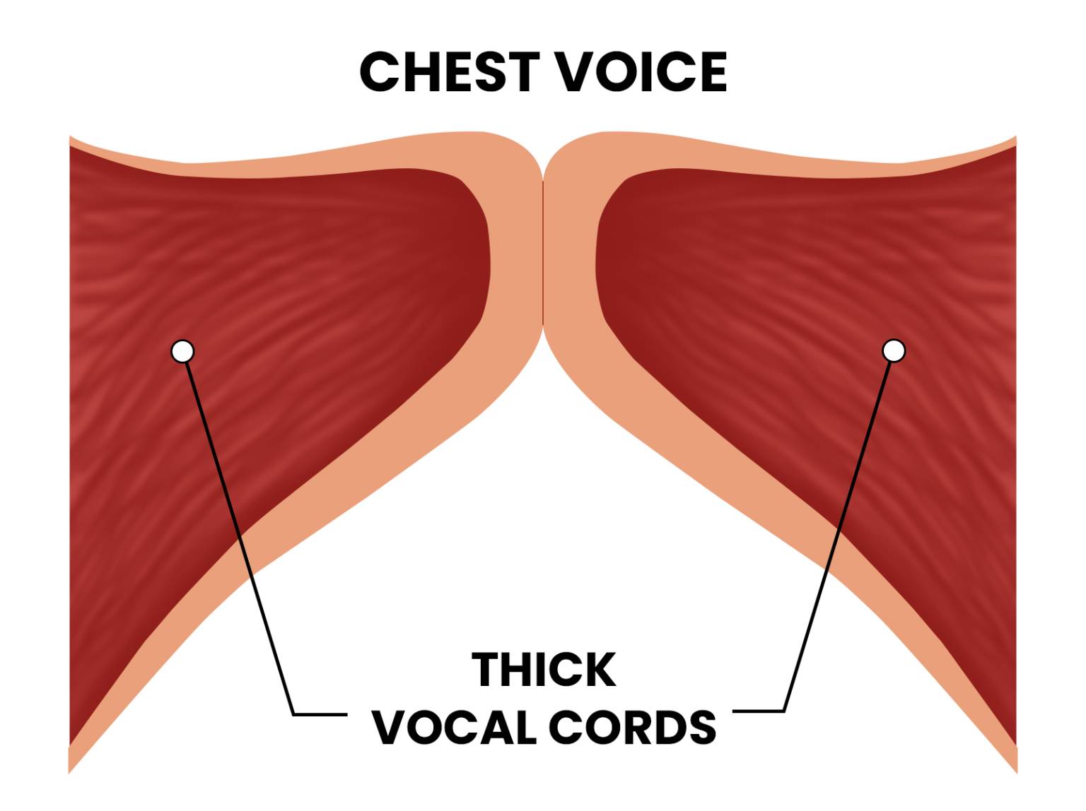 How to Hit High Notes: 15 Easy Exercises to Get You There