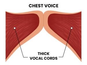 How to Sing Low Notes: 5 Exercises to Sing REALLY Low | Ramsey Voice Studio