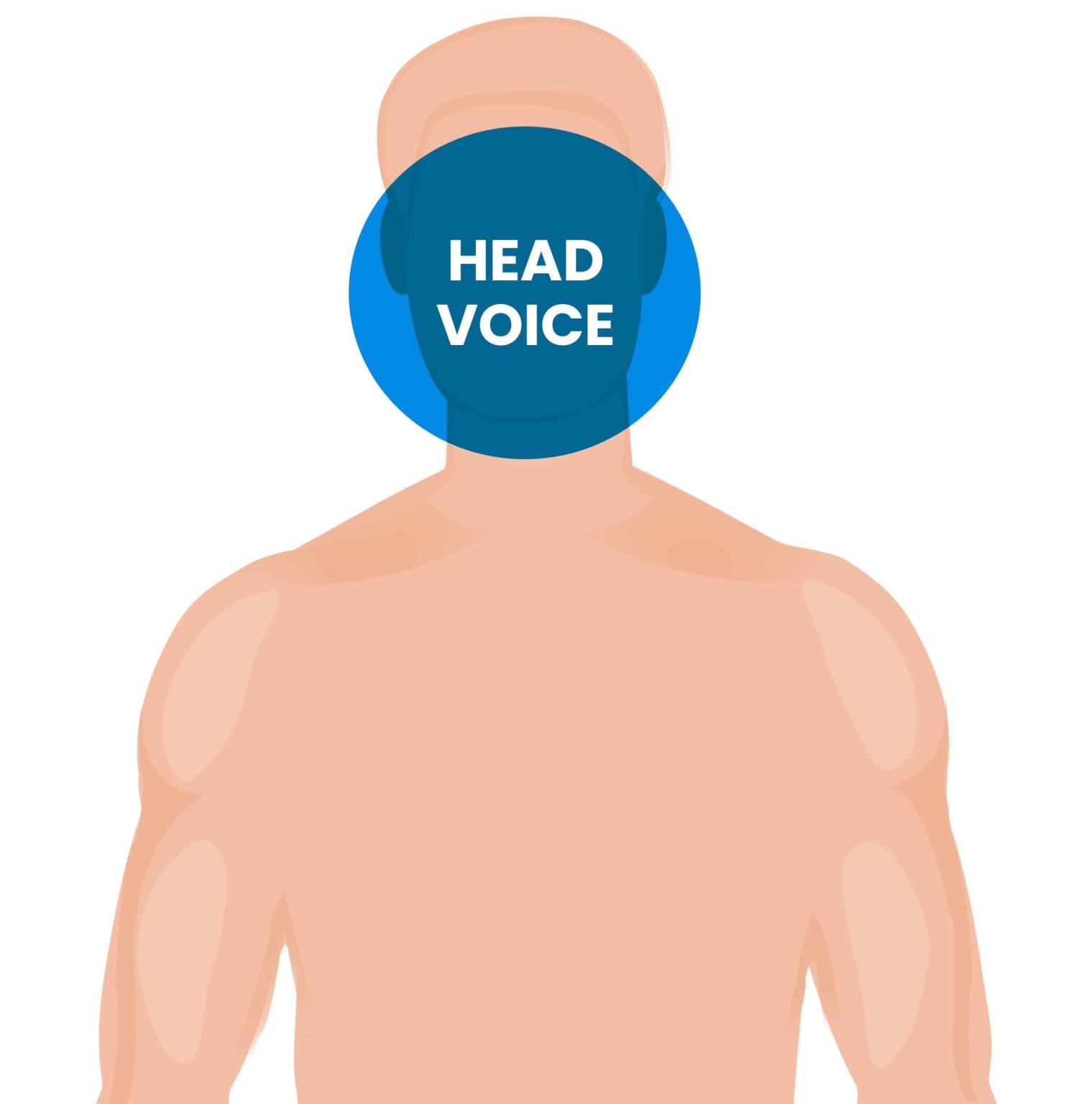 How to Hit High Notes: 15 Easy Exercises to Get You There