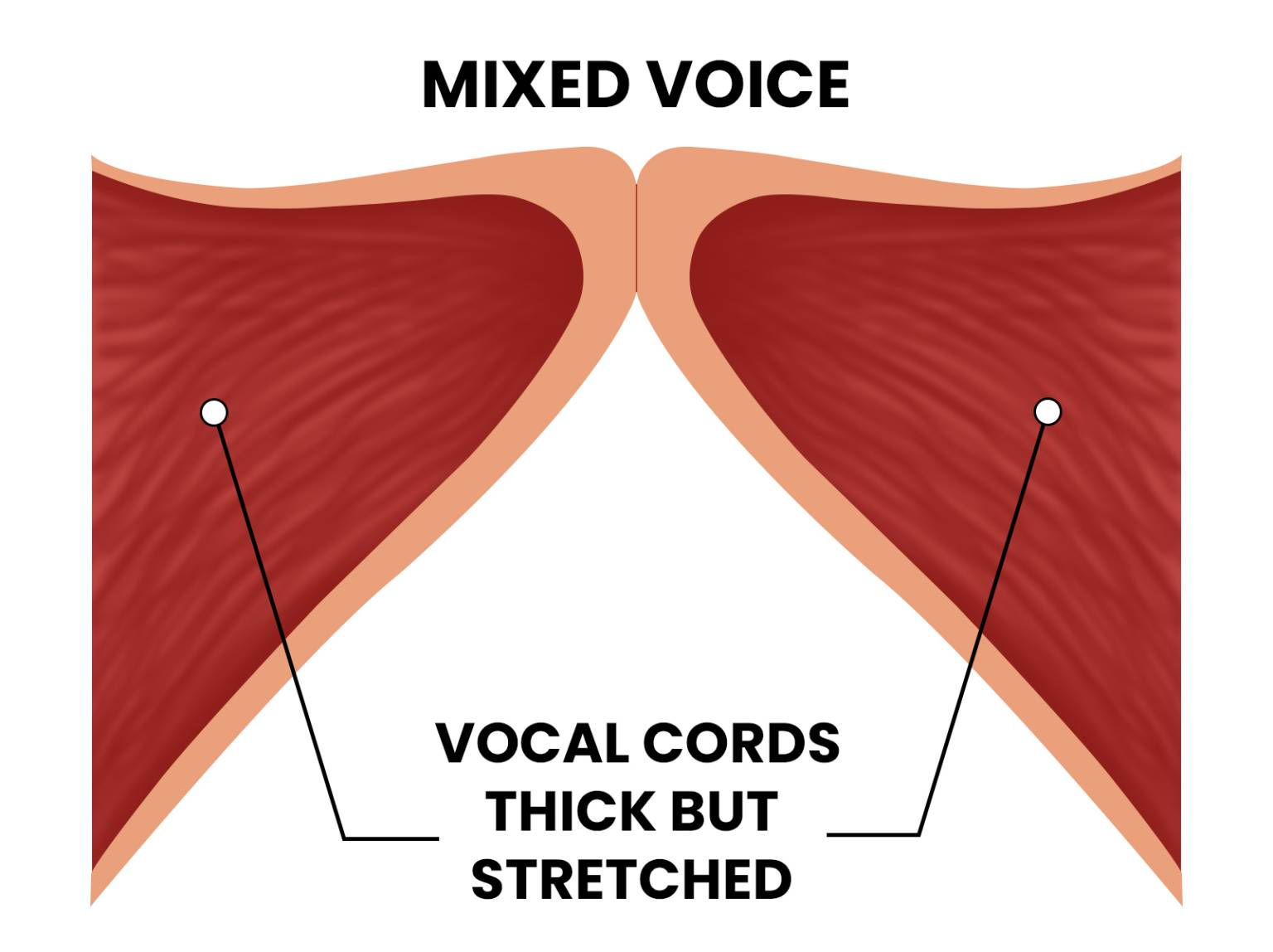 How to Hit High Notes: 15 Easy Exercises to Get You There